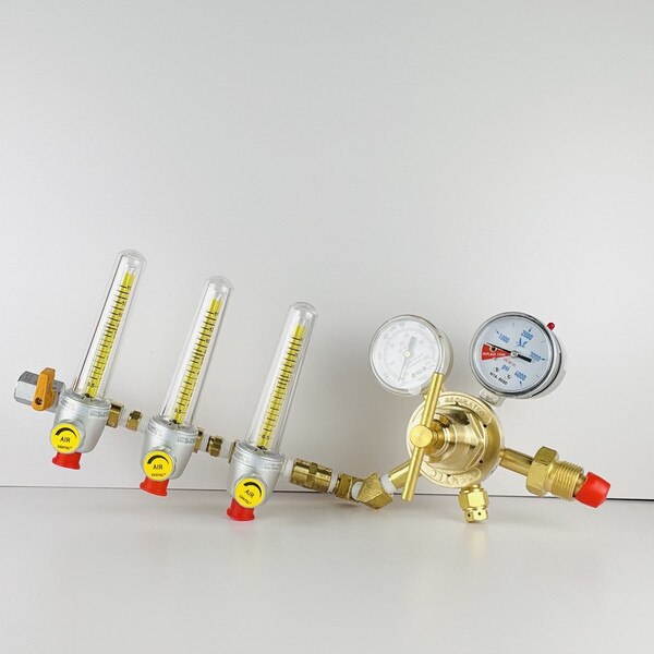 Purge Rig Assembly - Three Flowmeters