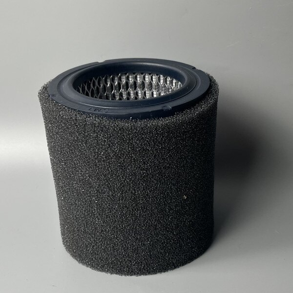 Intake Filter Element